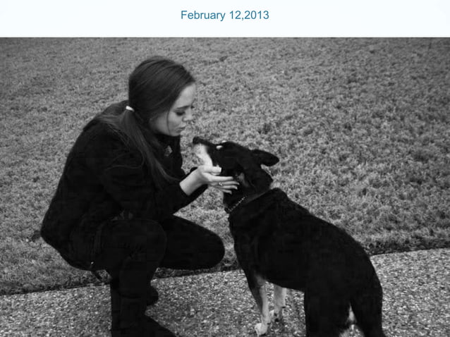 Environmental self portrait | PPTX