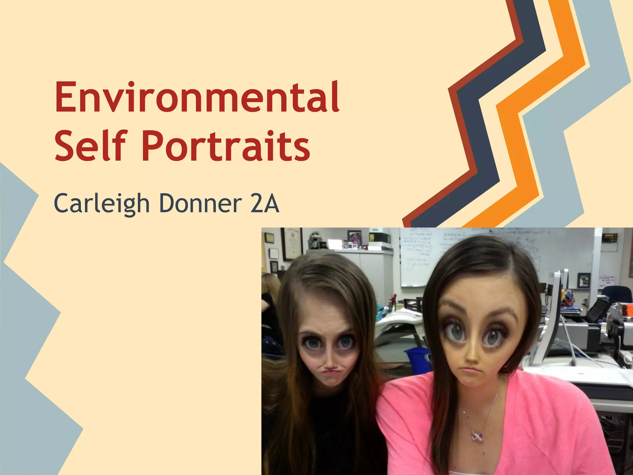 Environmentalselfportrait | PPT
