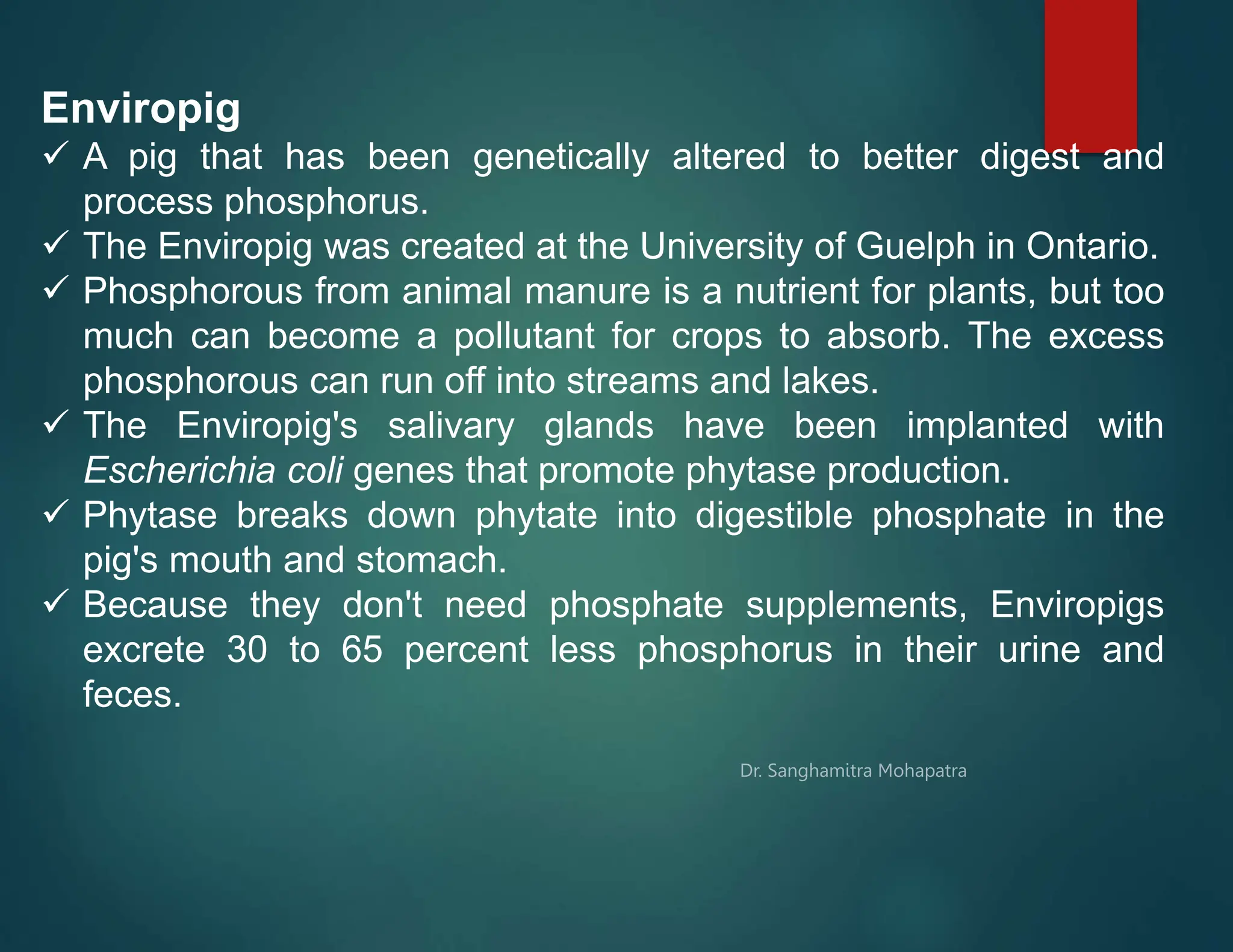 environmental_significance_of_GMO_MICROBES.pptx