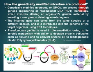 environmental_significance_of_GMO_MICROBES.pptx