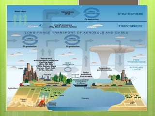 Environmental Awareness | PPTX