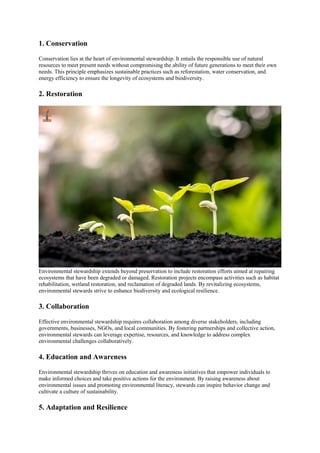 Environmental Stewardship: Nurturing Our Planet for Future Generations ...