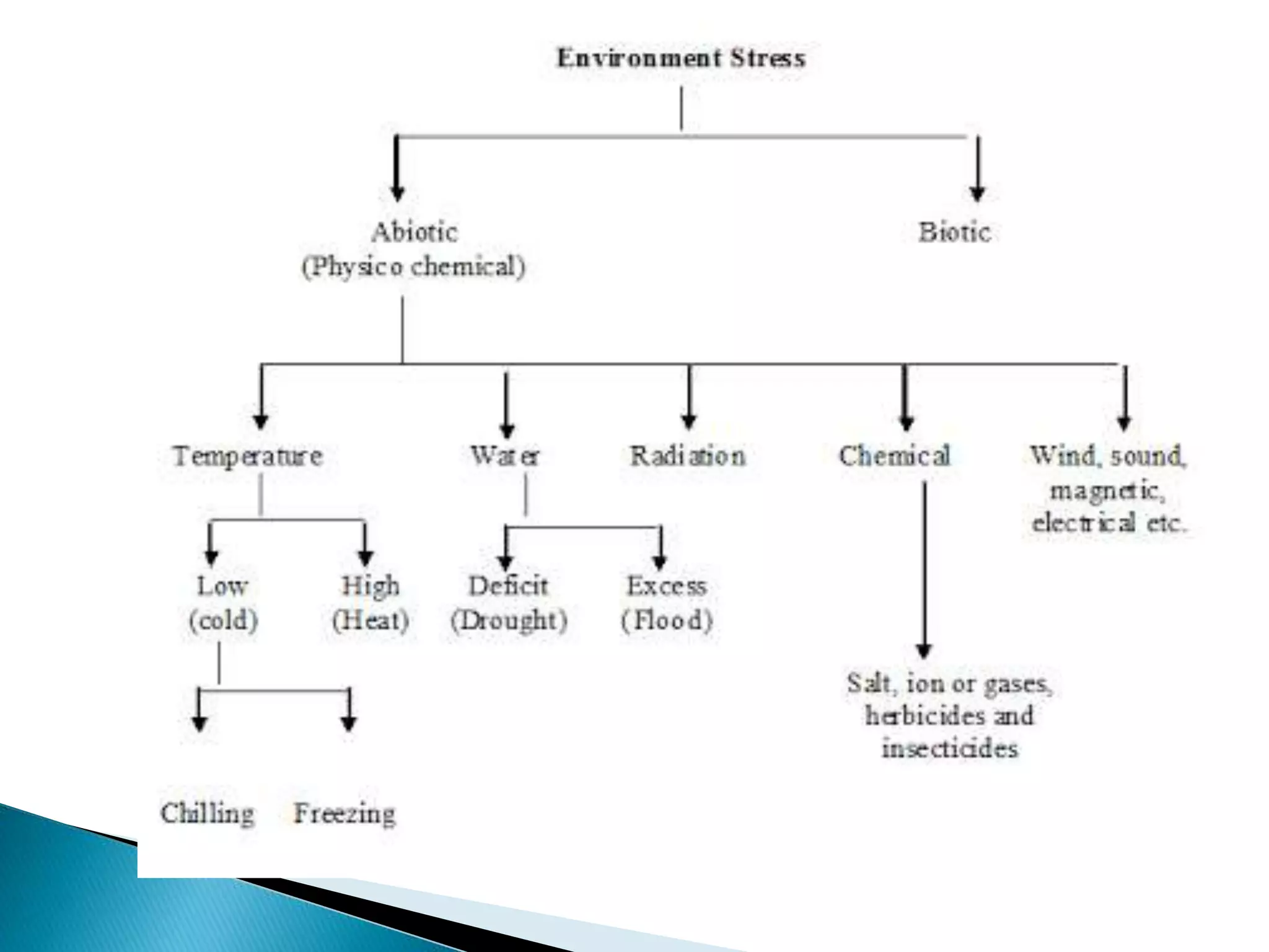 Environmental stress and plant growth | PPTX