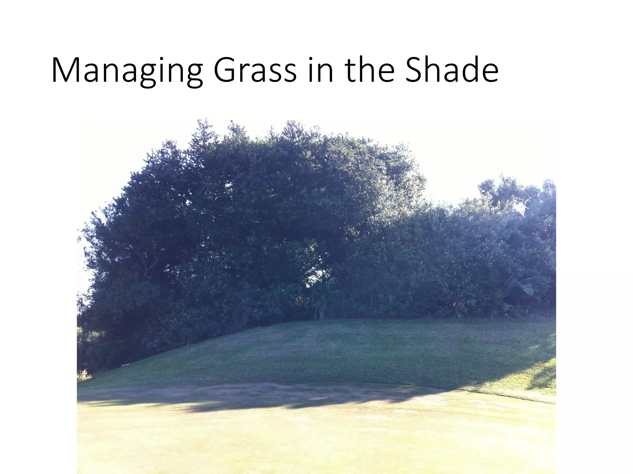 Environmental Stress on Turfgrass | PDF
