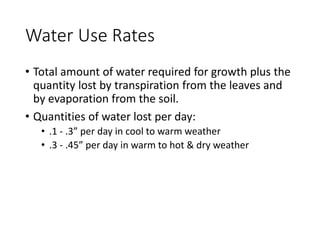 Environmental Stress on Turfgrass | PDF
