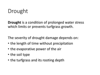 Environmental Stress on Turfgrass | PPT