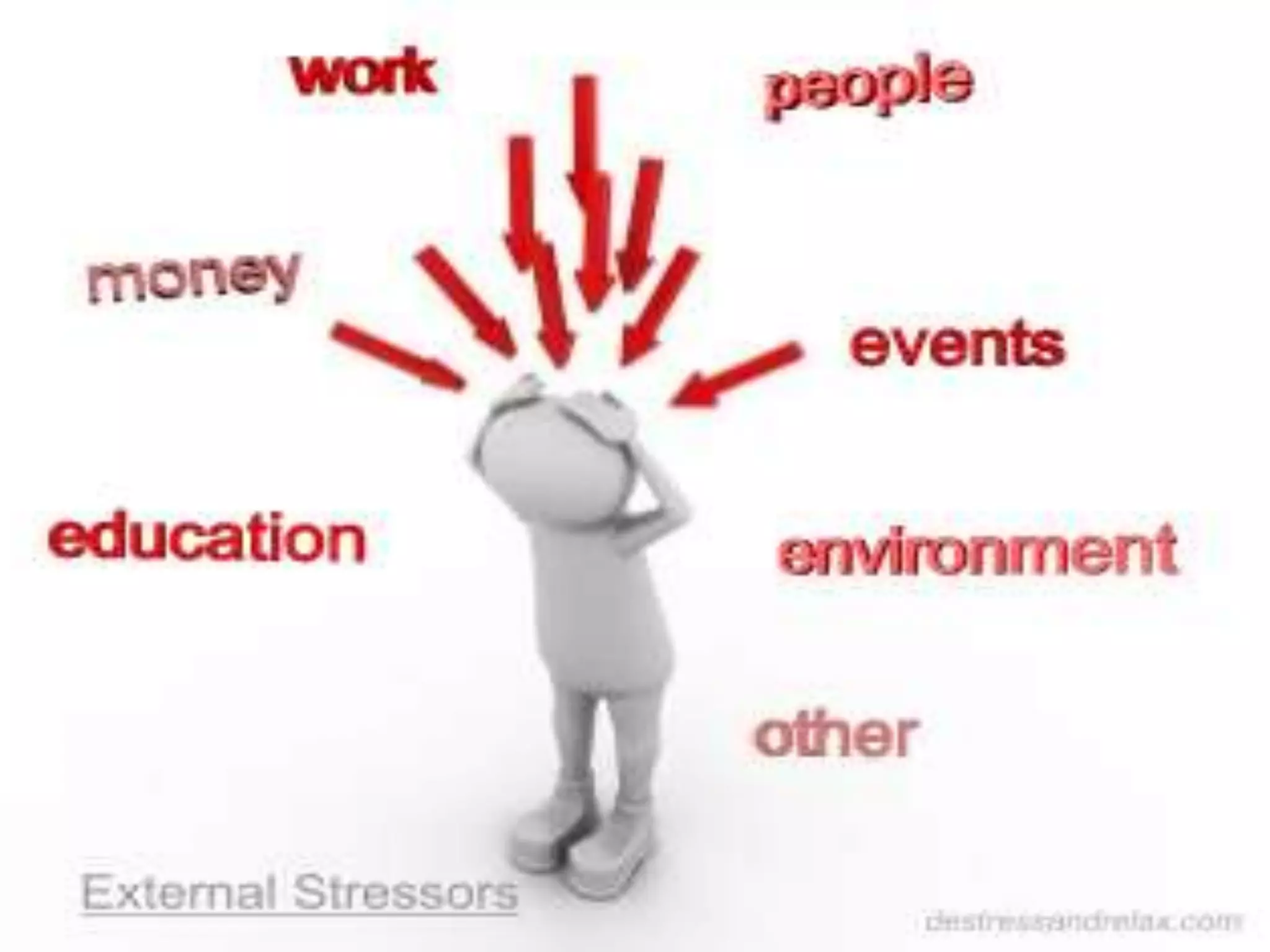 Environmental stressors | PPTX