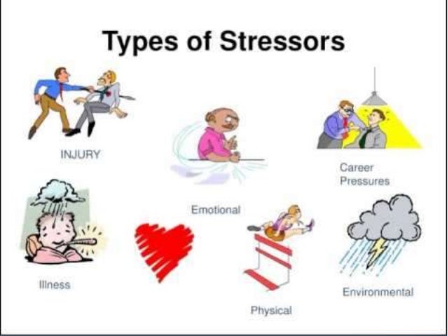 Environmental stressors