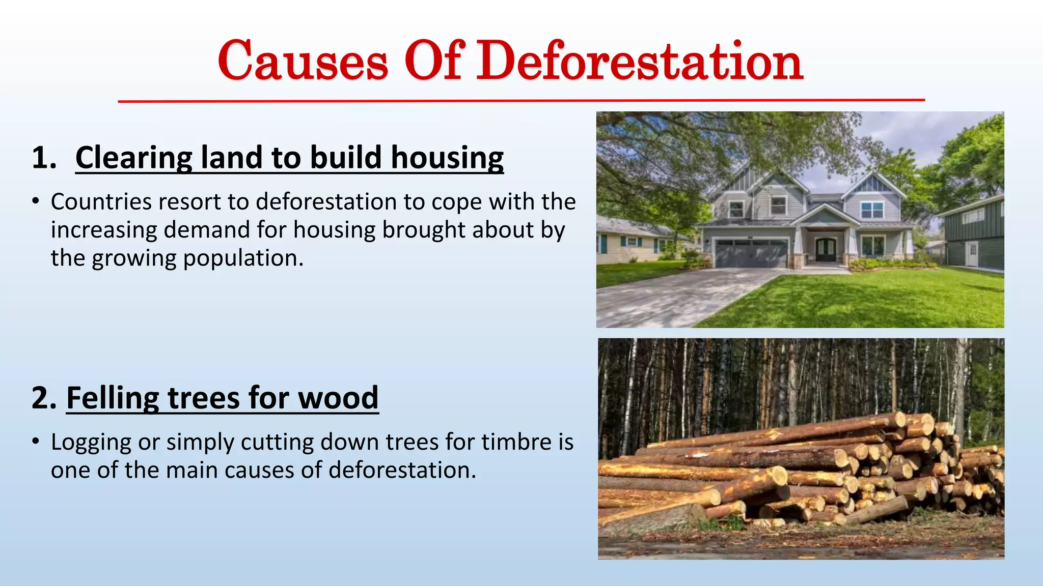 Environmental studies (deforestation) | PPTX