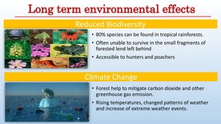 Environmental studies (deforestation) | PPTX