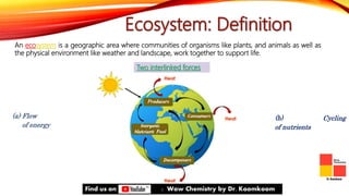 Environmental studies ecosystem | PPTX
