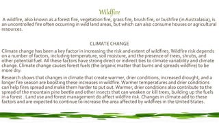 Environmental Studies : Presentation On - Climate Change, Wildfire | PPTX