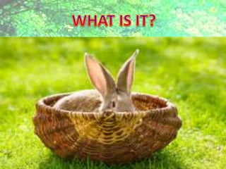 Environmental studies ppt ch 2 ears to ears | PPT