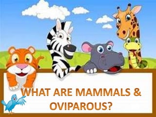 Environmental studies ppt ch 2 ears to ears | PPT