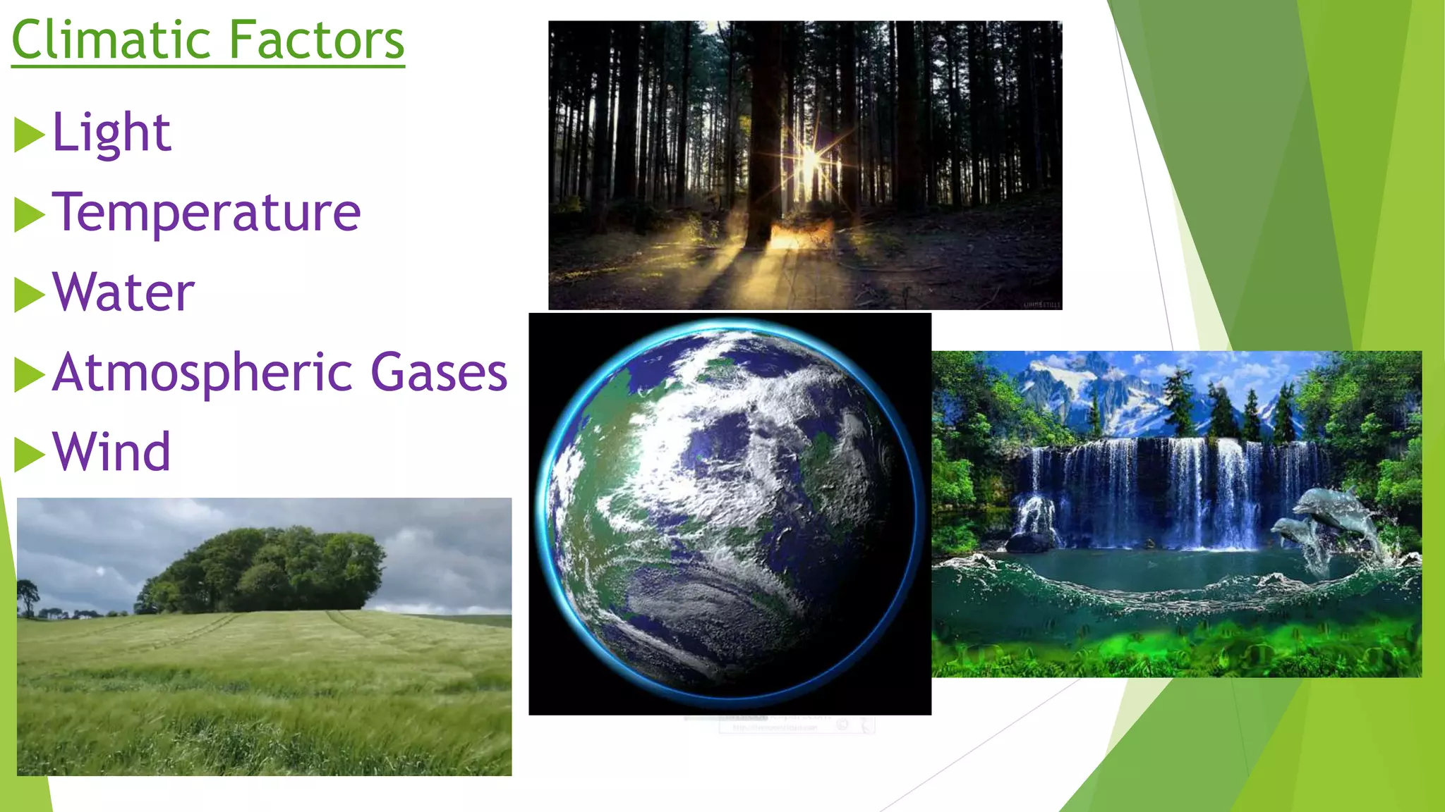 Environmental studies slides, grade 10 | PPTX