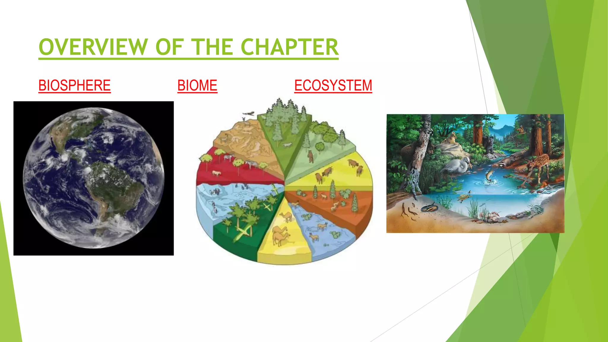 Environmental studies slides, grade 10 | PPTX