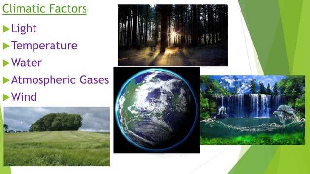 Environmental studies slides, grade 10 | PPTX