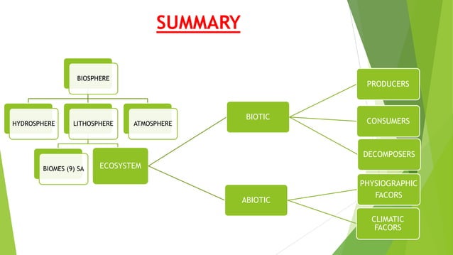 Environmental studies slides, grade 10 | PPTX