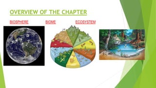 Environmental studies slides, grade 10 | PPTX