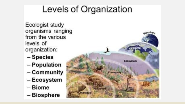 Environmental Studies- 2 ( Introduction to Ecology) | PPT