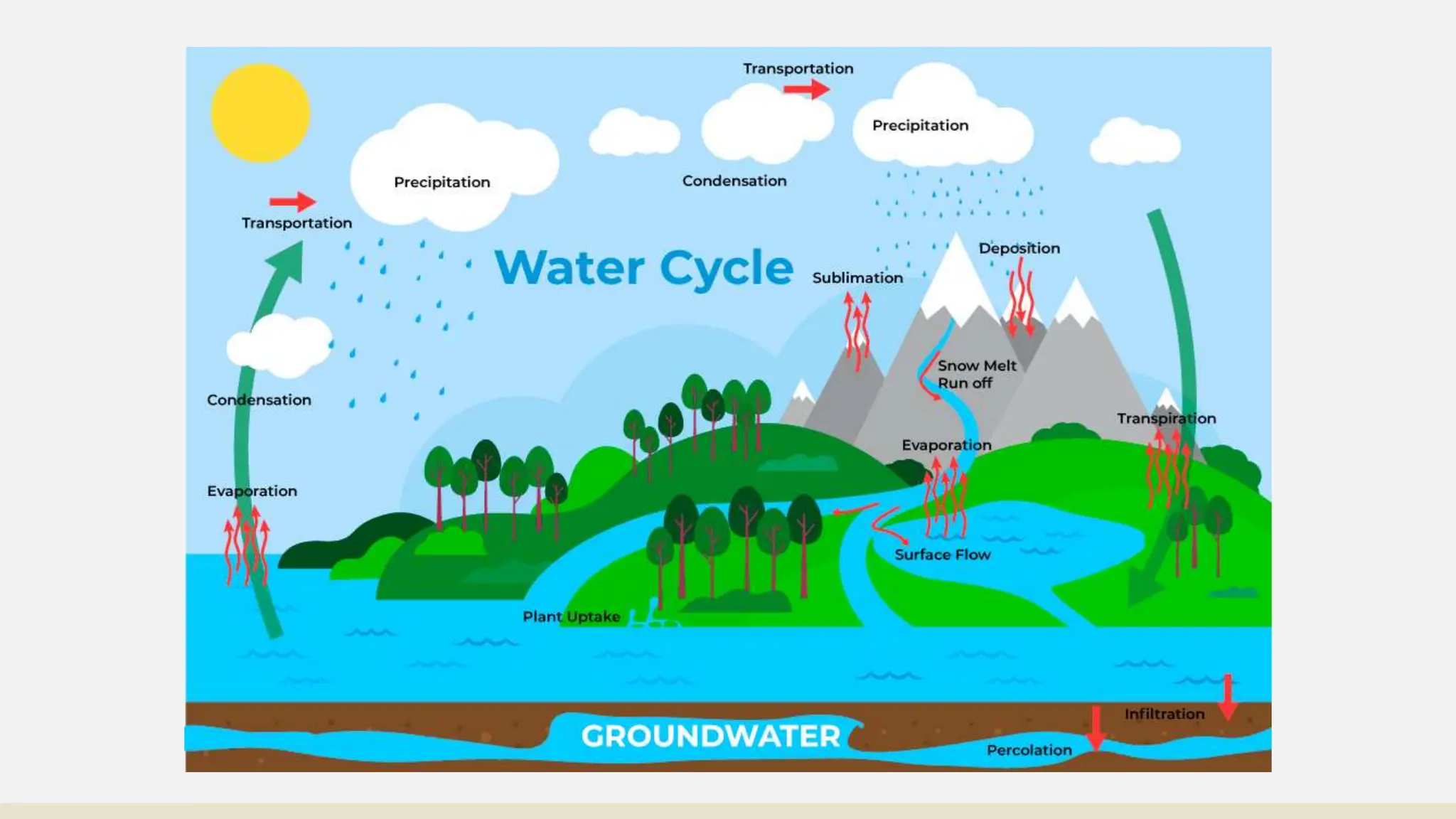 Environmental Studies - 4 (Introduction to Ecosystem) | PPTX