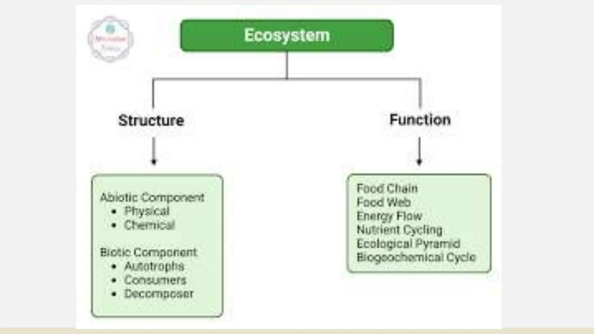 Environmental Studies - 4 (Introduction to Ecosystem) | PPTX