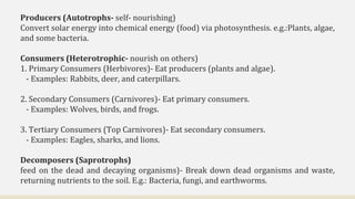 Environmental Studies - 4 (Introduction to Ecosystem) | PPTX