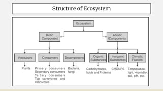 Environmental Studies - 4 (Introduction to Ecosystem) | PPTX