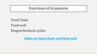 Environmental Studies - 4 (Introduction to Ecosystem) | PPTX