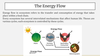 Environmental Studies - 4 (Introduction to Ecosystem) | PPTX