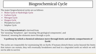 Environmental Studies - 4 (Introduction to Ecosystem) | PPTX