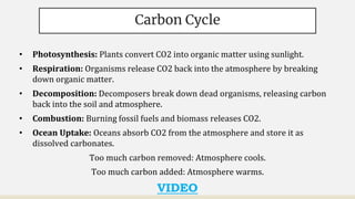 Environmental Studies - 4 (Introduction to Ecosystem) | PPTX