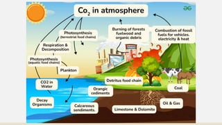 Environmental Studies - 4 (Introduction to Ecosystem) | PPTX