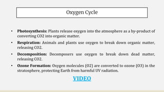 Environmental Studies - 4 (Introduction to Ecosystem) | PPTX