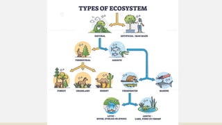 Environmental Studies - 4 (Introduction to Ecosystem) | PPTX