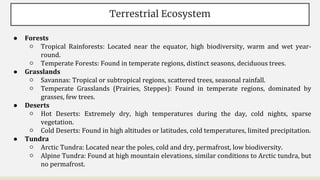 Environmental Studies - 4 (Introduction to Ecosystem) | PPTX