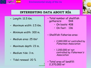 Environmental Study of The RíA | PPT