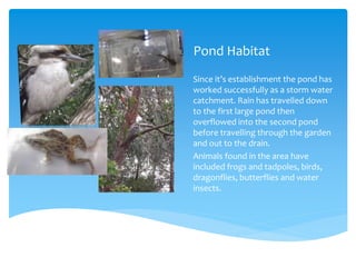 The Development of Our Gully and Environmental Sustainability at GK | PPT