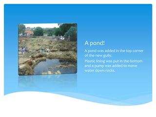 The Development of Our Gully and Environmental Sustainability at GK | PPTX