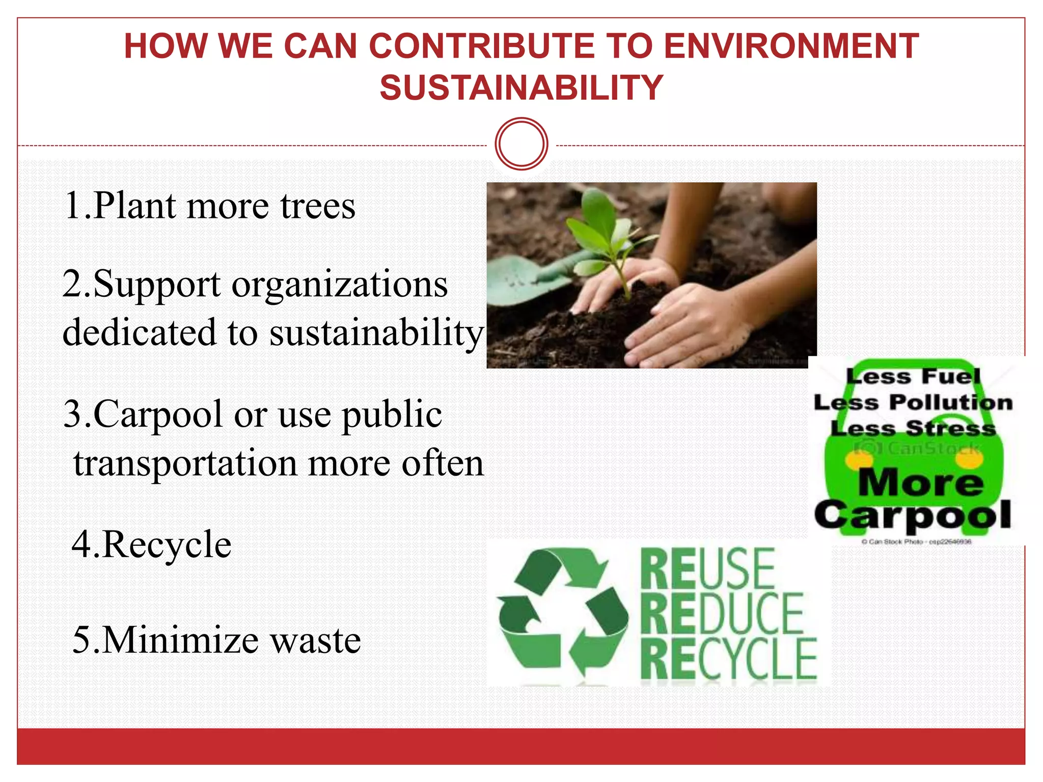 Environmental Sustainability | PPTX