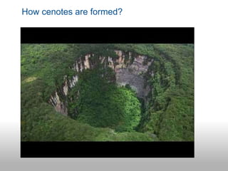 Environmental system values Yucatan's Cenotes | PPT