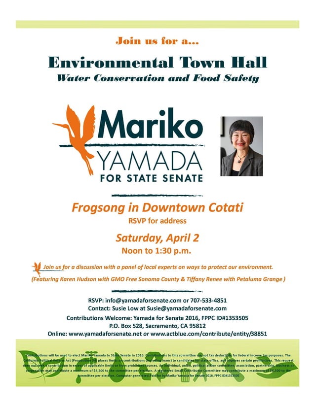 Flyer - State Senate Townhall | PDF | Design | Fine Art