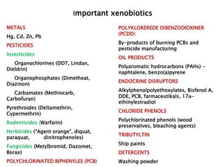 Ecotoxicology | PPTX