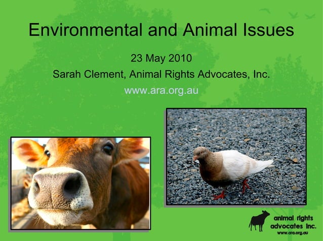 Environment and Animal Rights Presentation | PPT