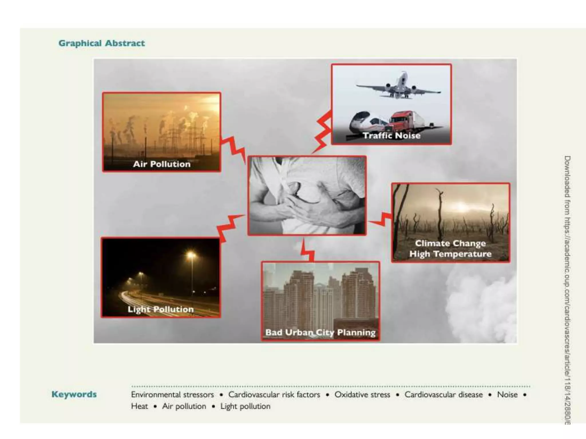 ENVIRONMENT AND CARDIOVASCULAR DISEASE.pptx
