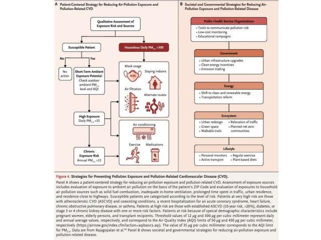 ENVIRONMENT AND CARDIOVASCULAR DISEASE.pptx