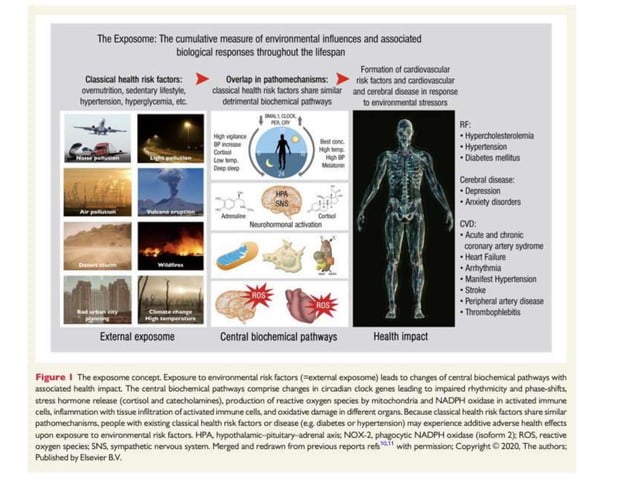 ENVIRONMENT AND CARDIOVASCULAR DISEASE.pptx