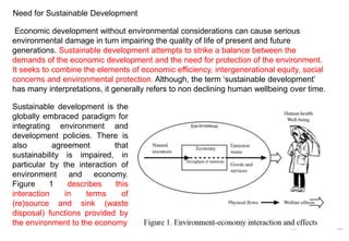 Environment and Economy Interaction | PPTX