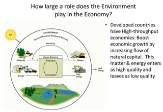 Environment and Economy Interaction | PPTX