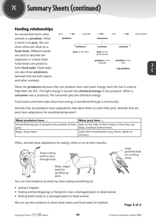 Environment and feeding relationships | PDF